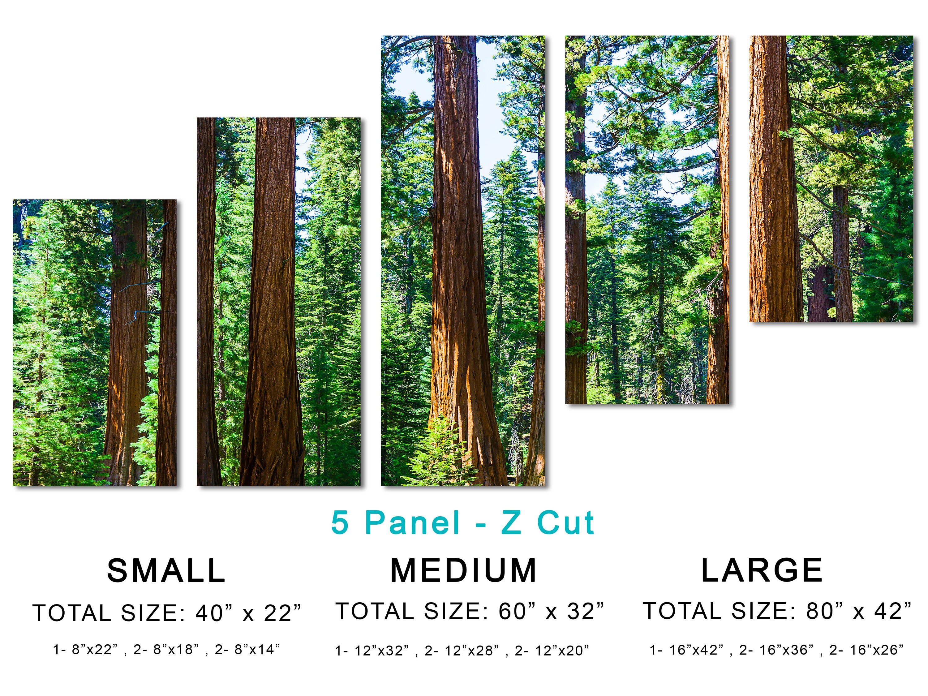 Big Sequoia trees in National Park Forest Canvas Print Wall | Etsy