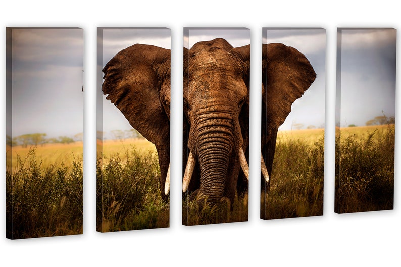 Giant Elephant Wall Art Canvas Print Animal Decor Wildlife Photography ...