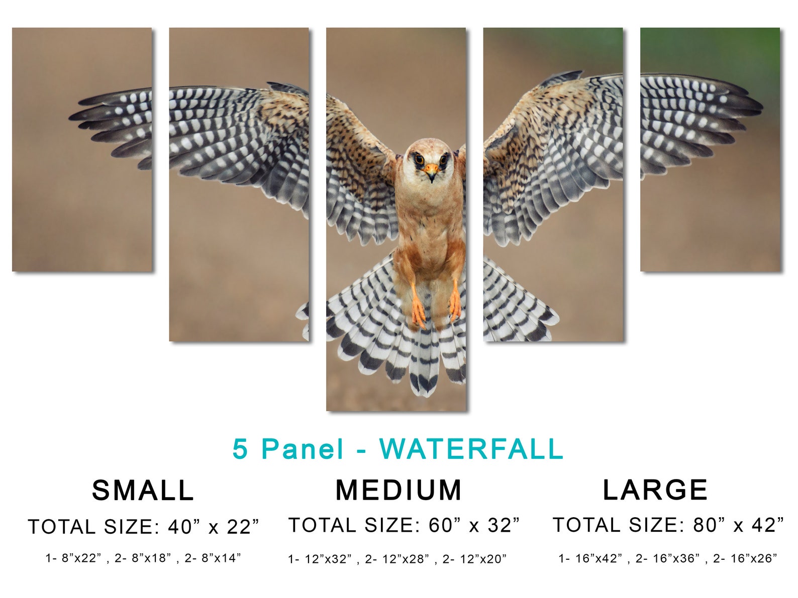 Red-footed Falcon in Flight Wall Art Canvas Print. Animal Art | Etsy