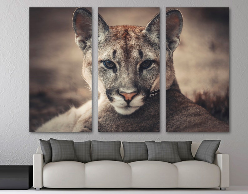 Puma Canvas Print Wall Art Wildlife Photography Print - Etsy Italia