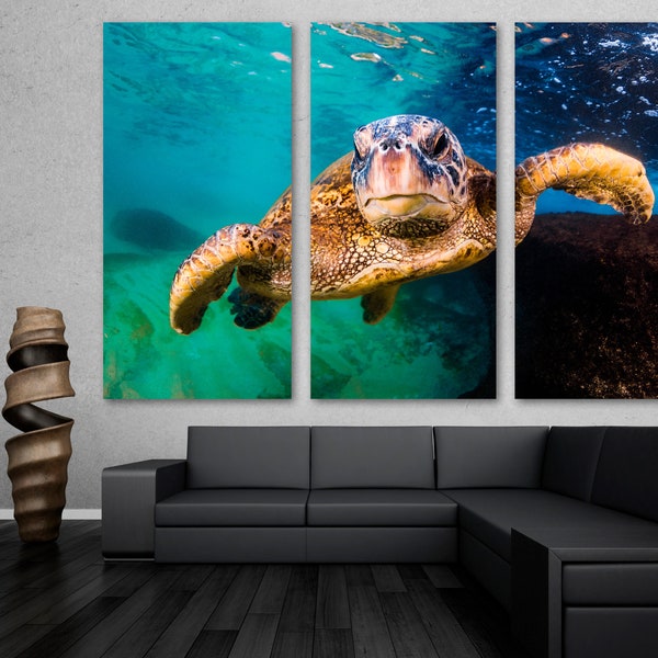 Sea Life Canvas Wall Art - Etsy