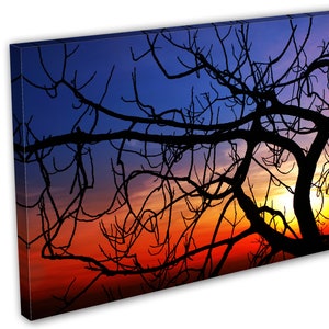 3 Panel Split Tree Fig at Sunset Canvas Print Triptych. Great for Home ...