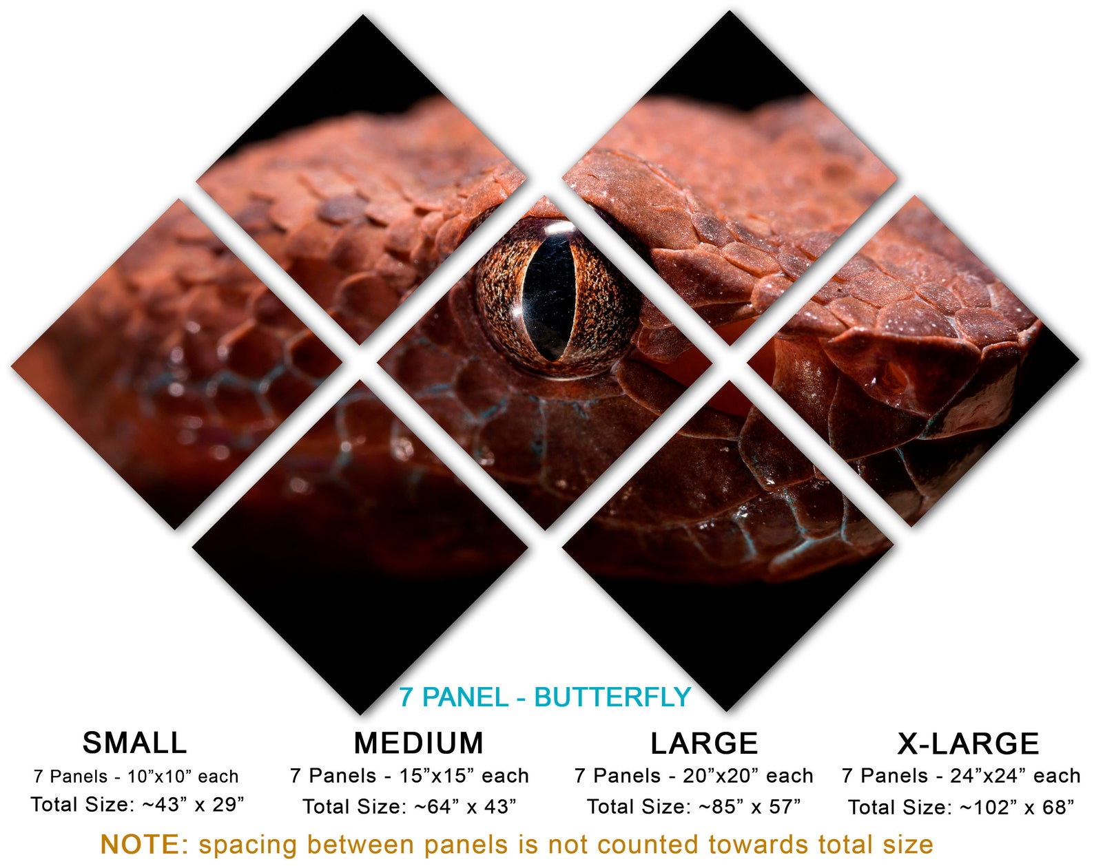 Red Viper Snake Head Wall Art Canvas Print. Reptile Eye, Animal Art ...