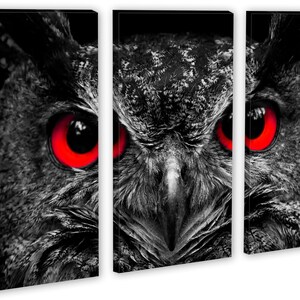 Red Eyed Owl Portrait Canvas Print Wall Art. Wildlife Bird Art, Animal ...