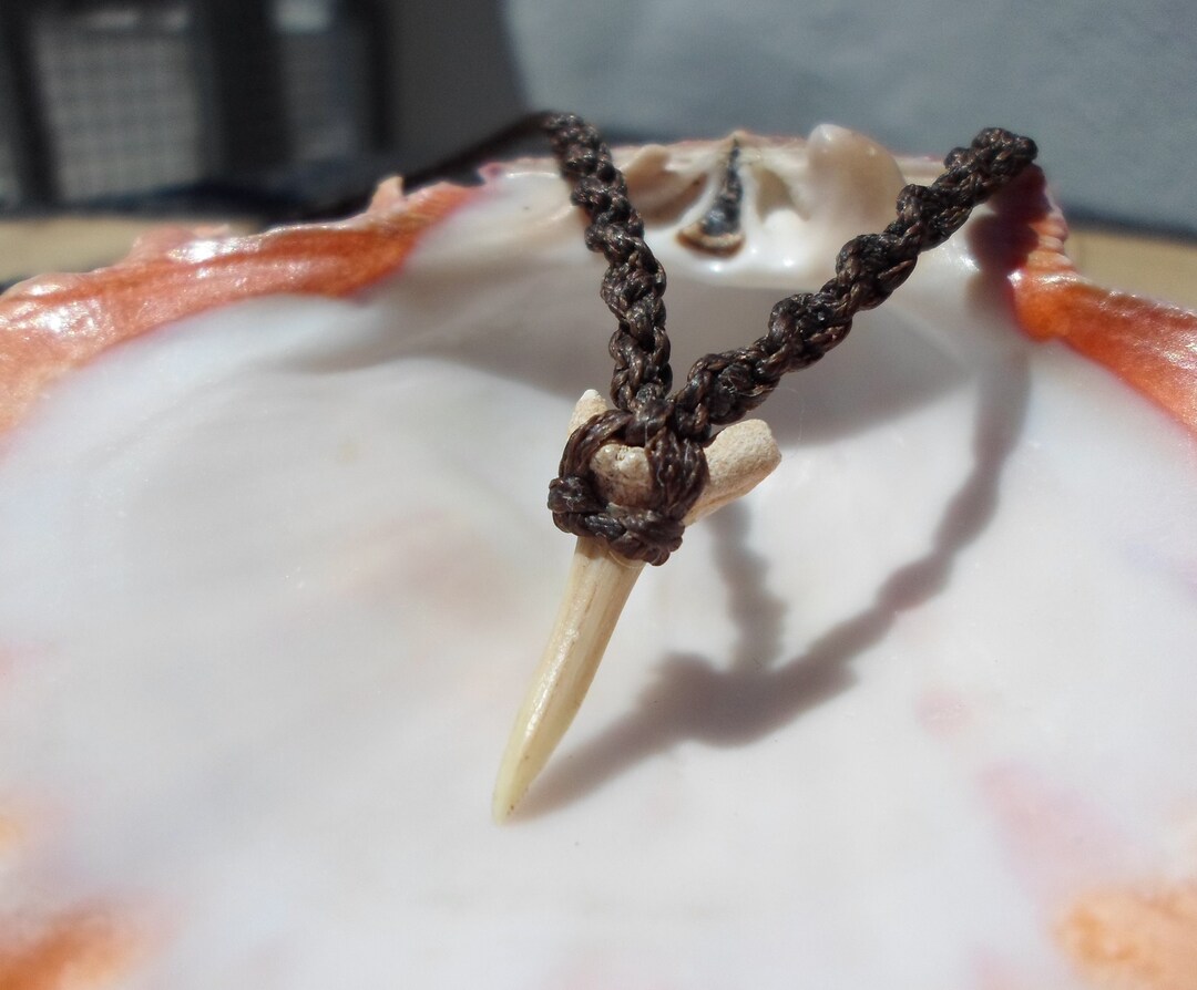 Fossilized Shark Tooth Necklace, Natural Fossil Shark Teeth Macrame ...