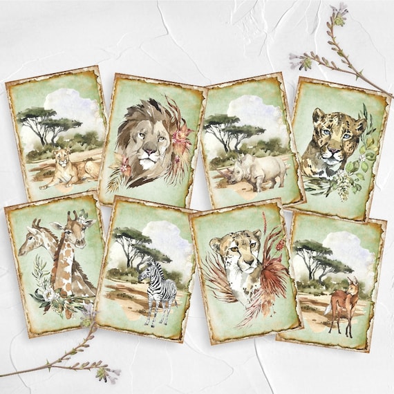 Vintage Safari Cards Jungle Animals Cards Greeting Card - Etsy UK