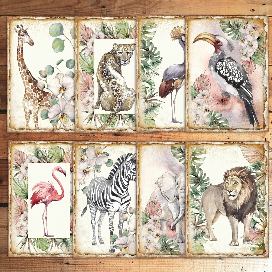 Vintage Safari Tags Tropical Jungle Animals Cards Greeting - Etsy UK