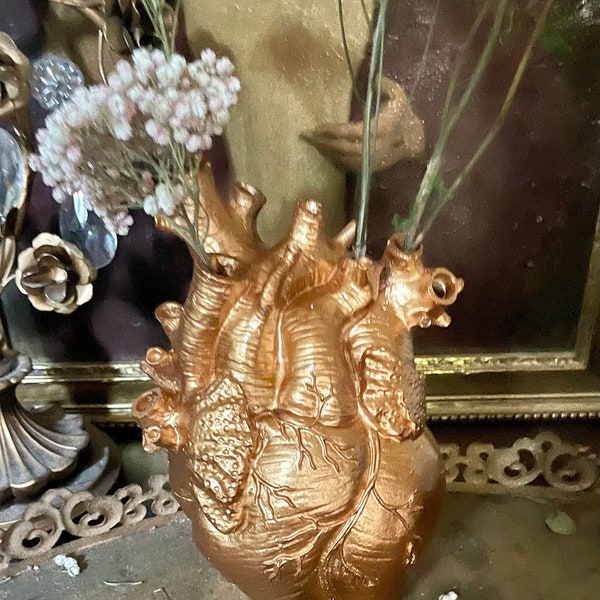 Anatomical Heart Vase - Etsy