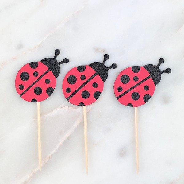 Ladybug Picnic - Etsy