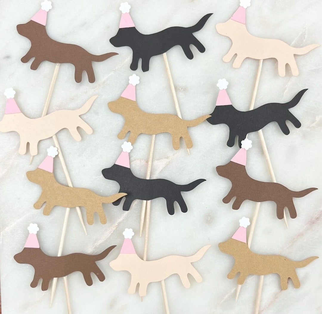 Puppy Dog Birthday Cupcake Toppers: Pink Party Hats - Set of 12 - Etsy