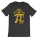 Pi Pirate Funny Algebraic Sign Symbol Nerd Shirt Mathematics - Etsy