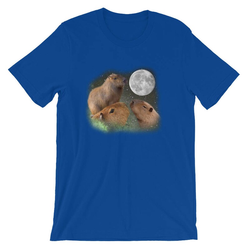 Three Moon Capybaras Shirt Capybara Capybara Shirt | Etsy