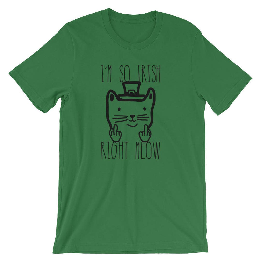 I'm so Irish Right Meow St. Patrick's Day Drunk Cat - Etsy