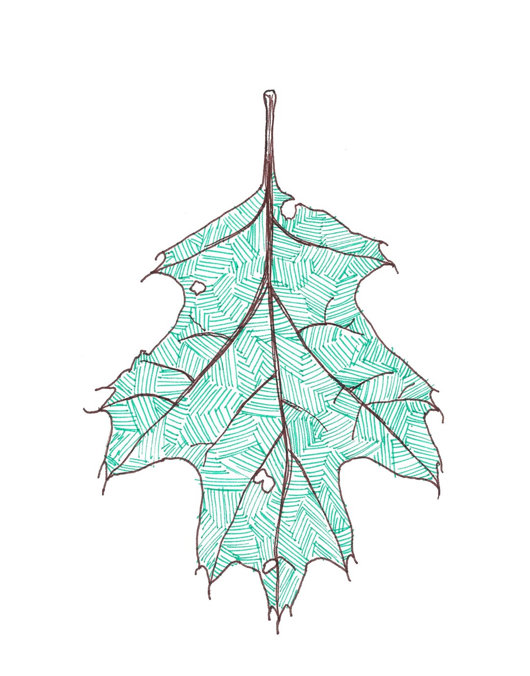 Red Oak Leaf Original Ink Drawing - Etsy