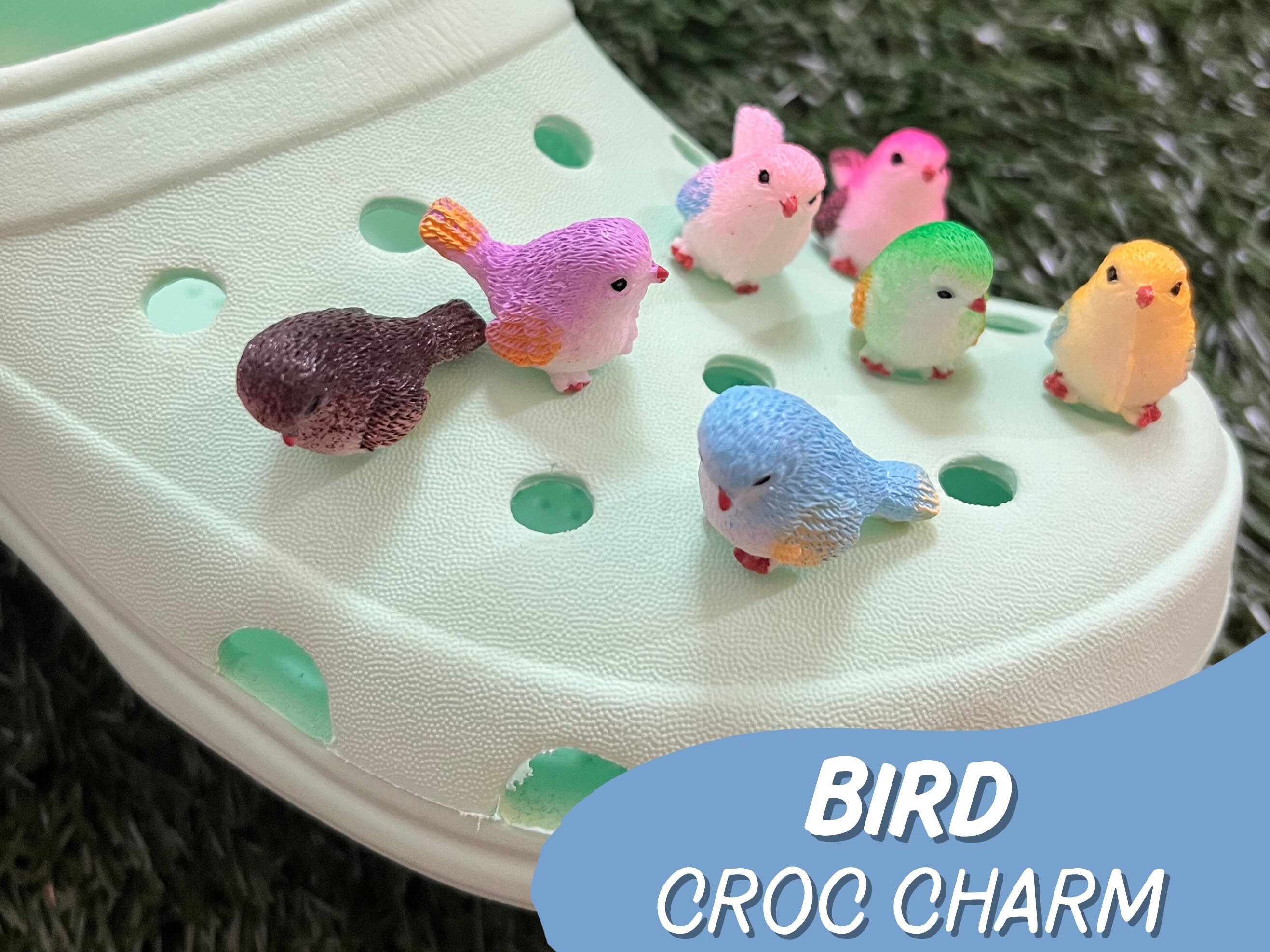Croc Birds
