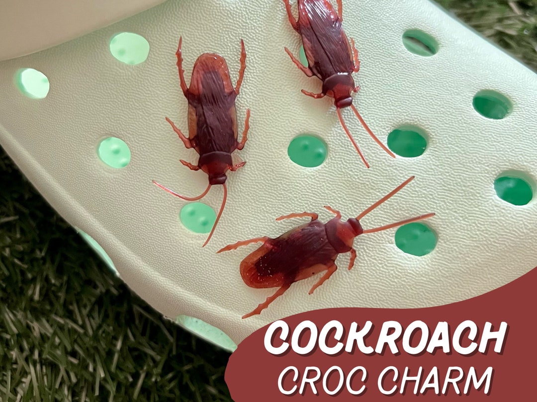 ONE Cockroach Croc Shoe Charm // Handmade // Unique // Nature - Etsy