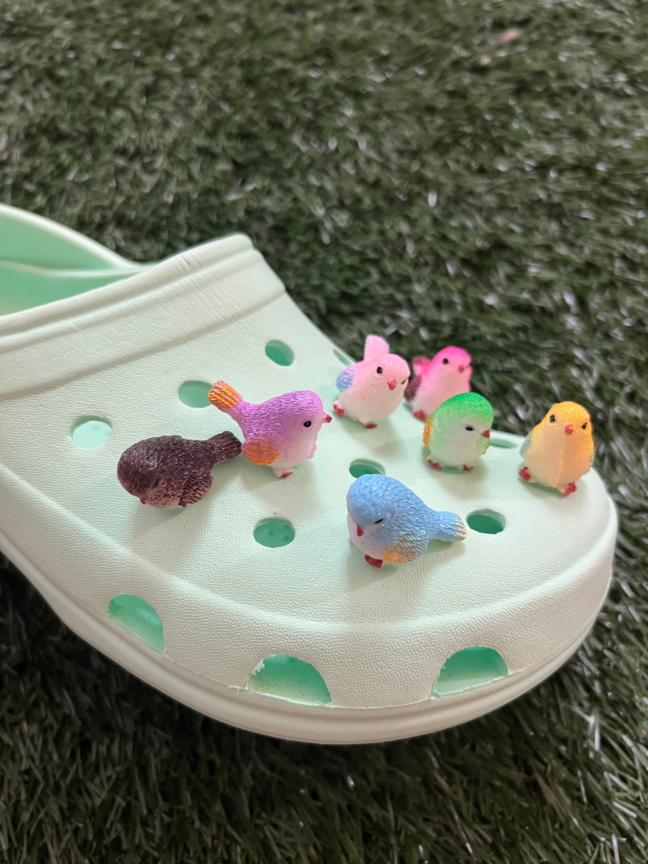 Croc Birds