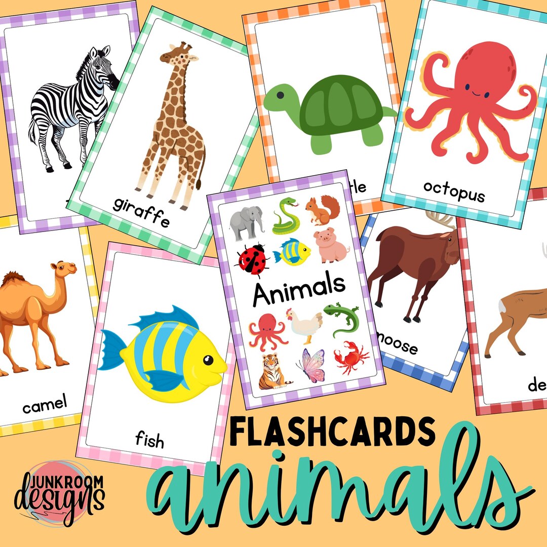 DIGITAL Animal Flashcards, Flashcards for Kids, Homeschooling ...