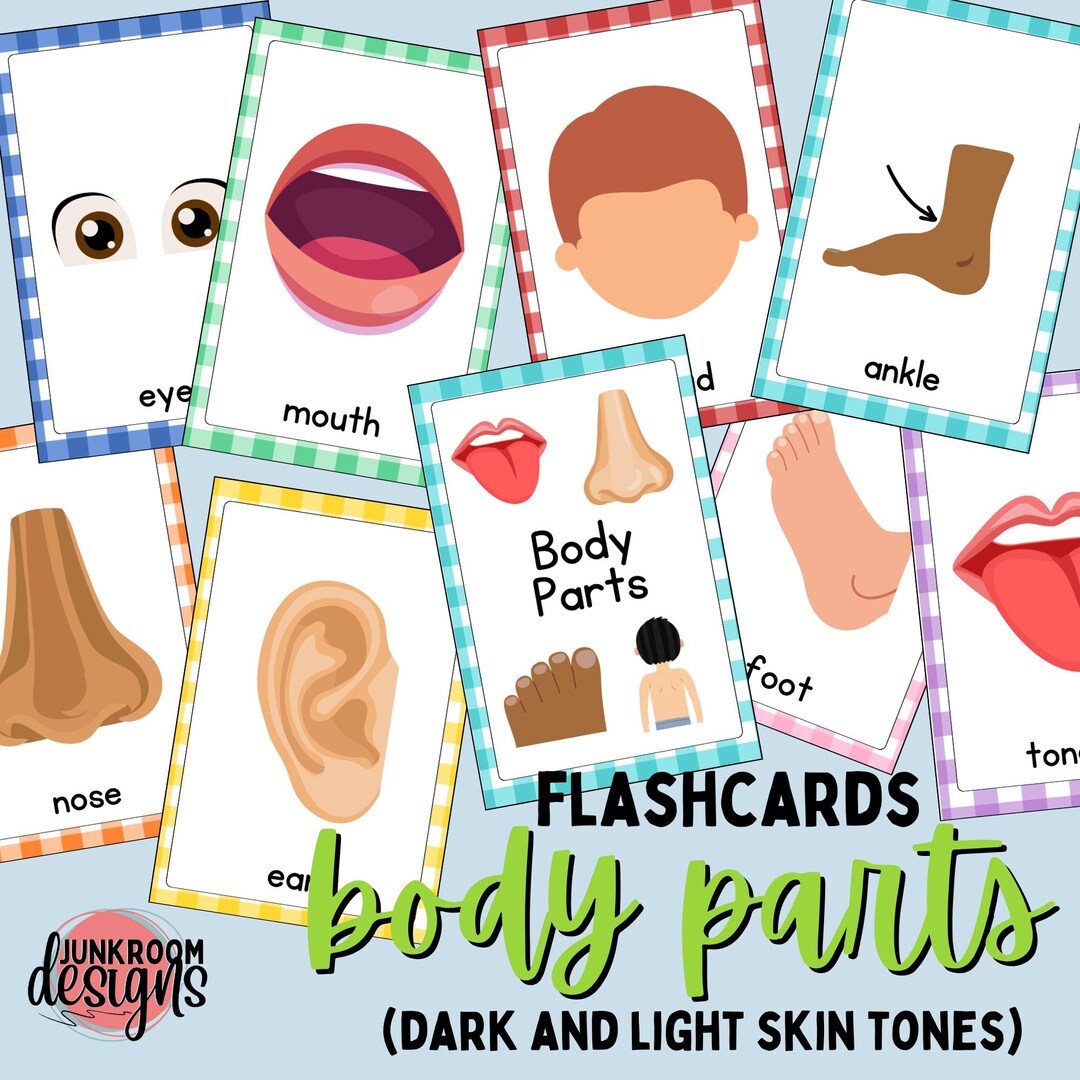 DIGITAL Body Part Flashcards, Flashcards for Kids, Homeschooling ...