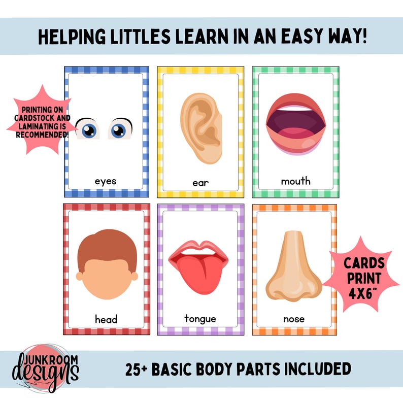 PRINTED Body Part Flashcards, Flashcards for Kids, Homeschooling ...