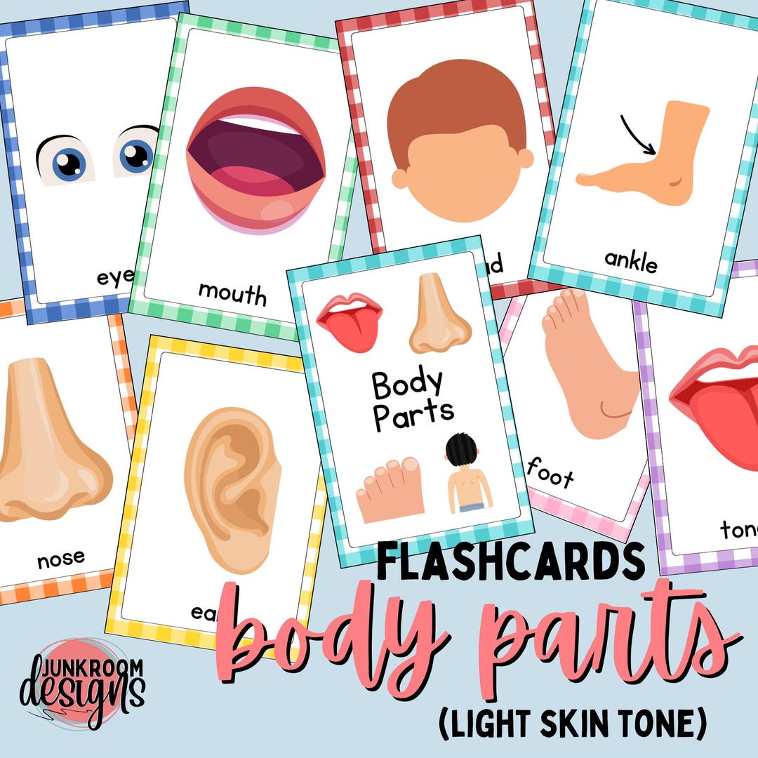 DIGITAL Body Part Flashcards, Flashcards for Kids, Homeschooling ...