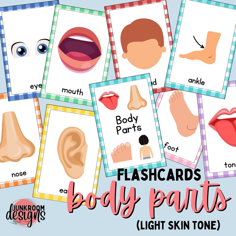 DIGITAL Body Part Flashcards, Flashcards for Kids, Homeschooling ...