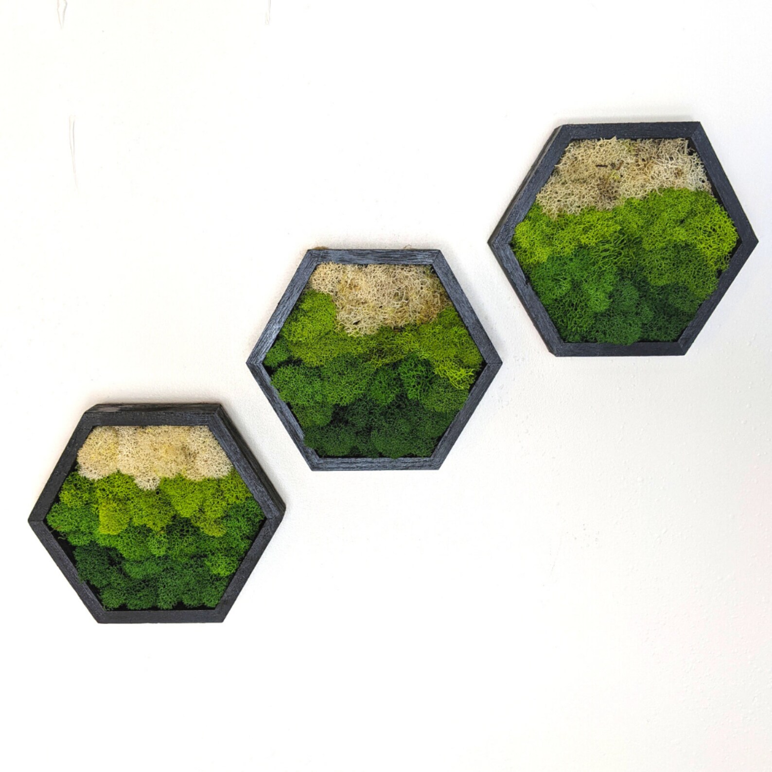 Unique Moss Wall Art Framed Black 6x5 Hexagon Wood Artwork | Etsy