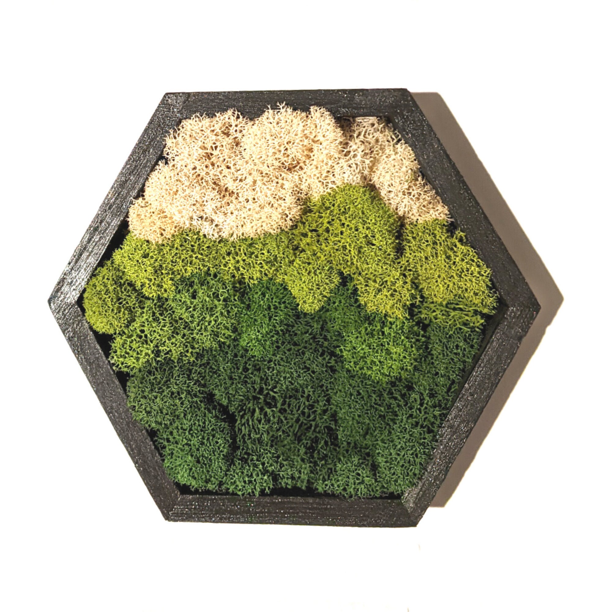 Unique Moss Wall Art Framed Black 6x5 Hexagon Wood Artwork | Etsy