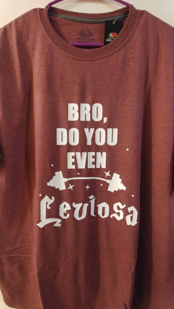 INSTANT DOWNLOAD - Leviosa - Digital PNG File for Design, Cricut ...