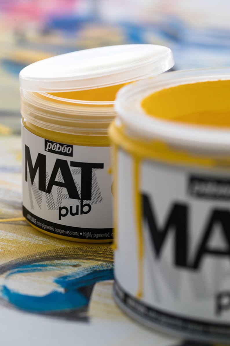 Pebeo Mat Pub Fine Art, Mural & Outdoor Acrylic Paint 140ml - Etsy UK