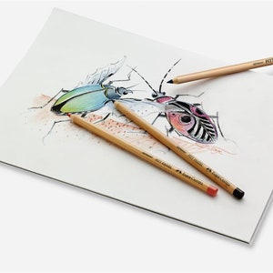 Faber Castell Pitt Pastel Pencils 60 Tin - Etsy