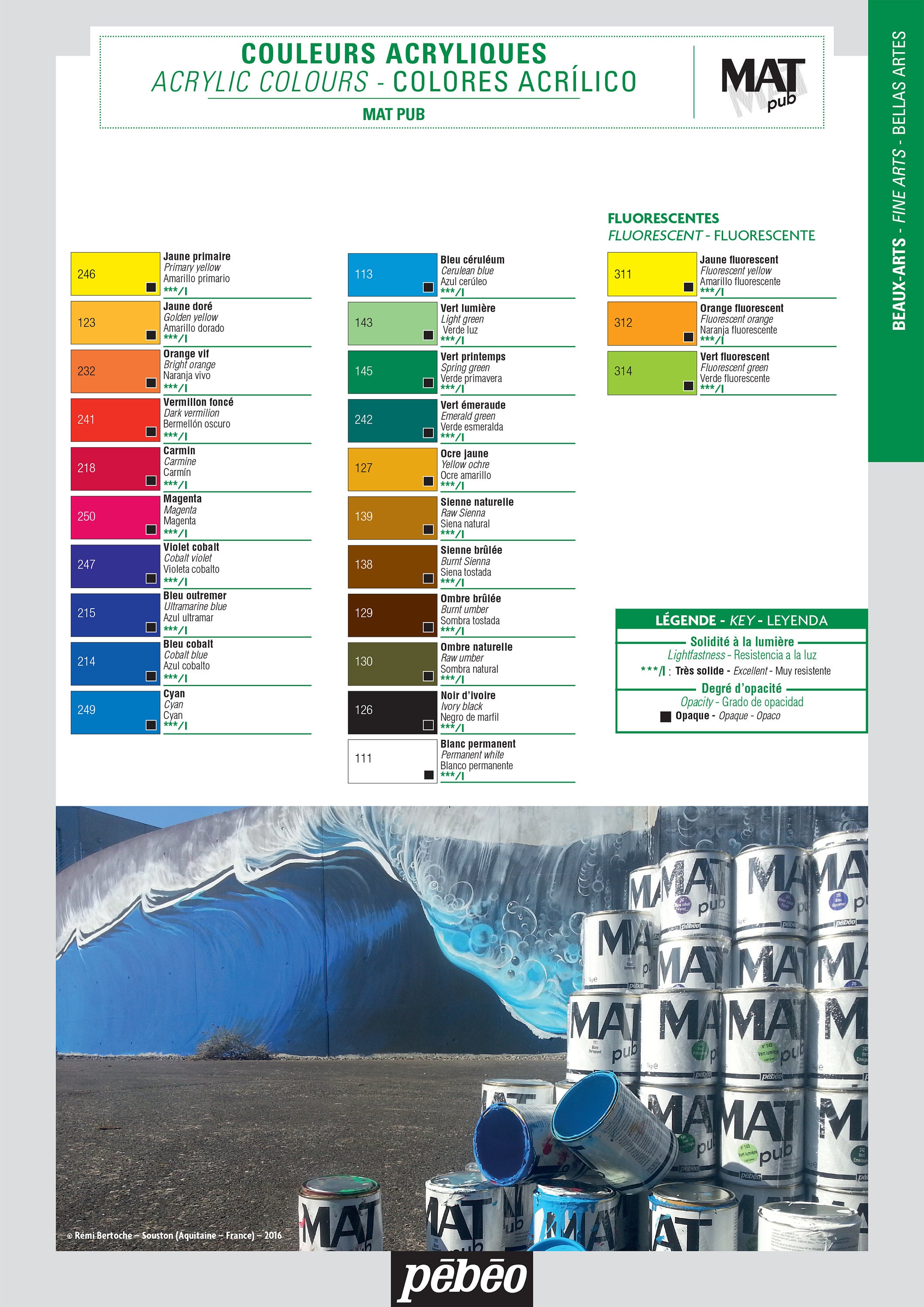 Pebeo Mat Pub Fine Art Mural & Outdoor Acrylic Paint 140ml | Etsy