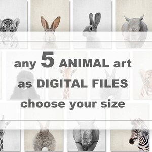 PinkeeDigital - Etsy