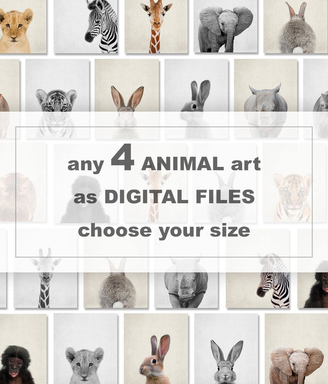 Custom Animal Prints, Set of 4, Nursery Wall Art (digital Download) - Etsy