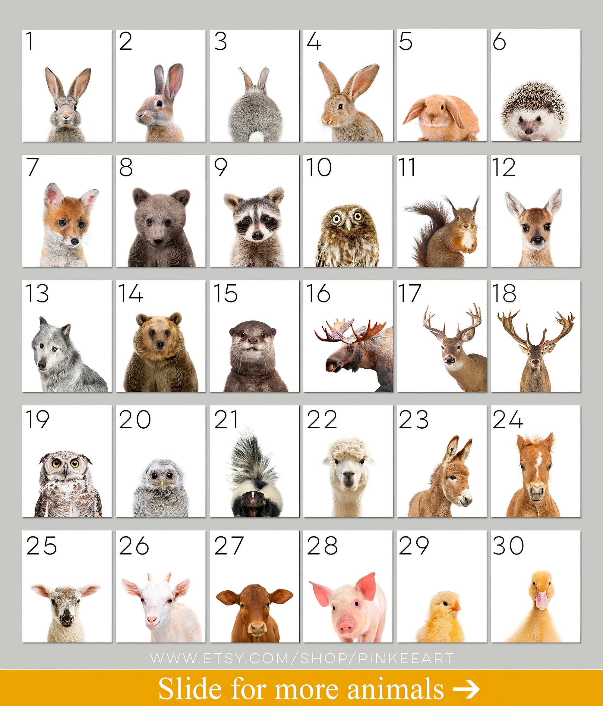 Baby Animal Download Printable Animals for Nursery Choose - Etsy