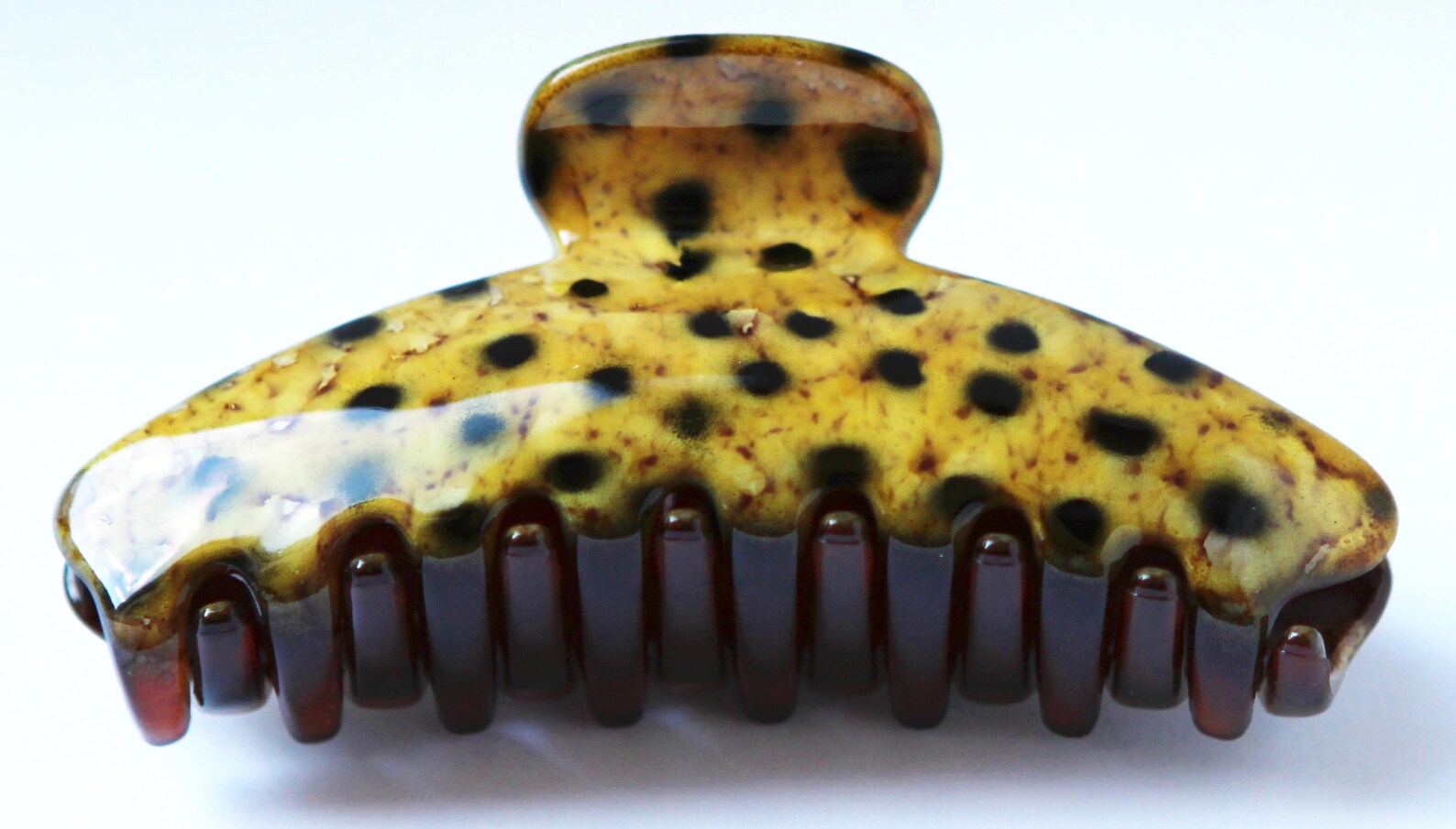 New French Alligator Claws Hand-painted in France Celluloid - Etsy