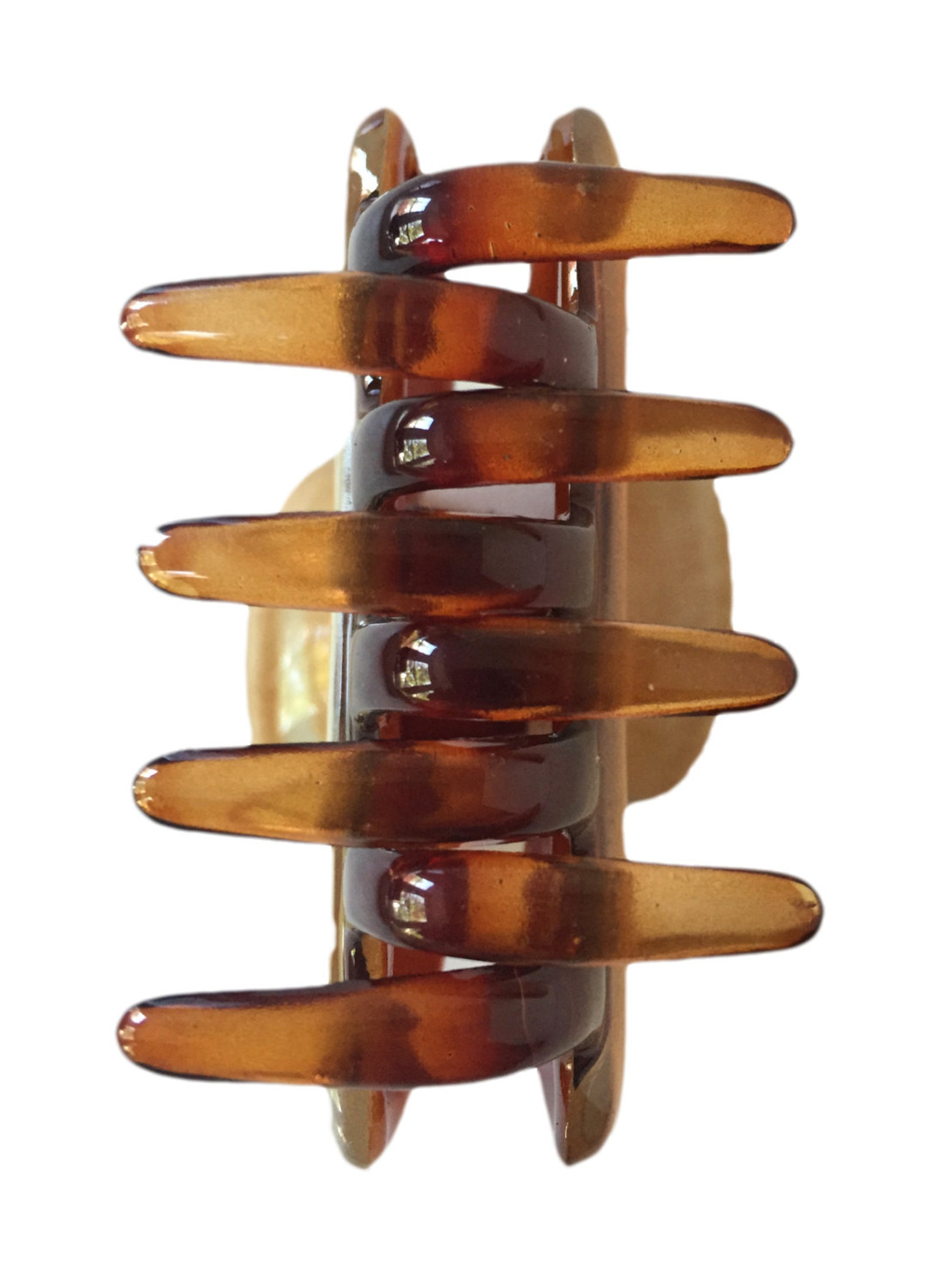 French Hand Painted Claws Beige Tortoise Shell 2 1/2 X 1 3/4 - Etsy