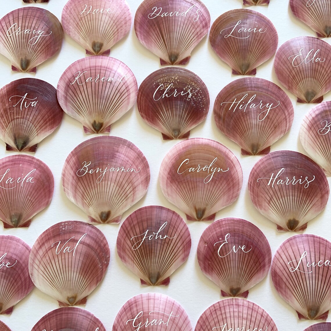 Shell Place Card Shell Place Name Beach Wedding Place Card - Etsy UK