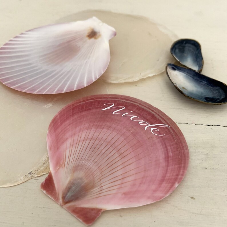 Shell Place Card Shell Place Name Beach Wedding Place Card | Etsy
