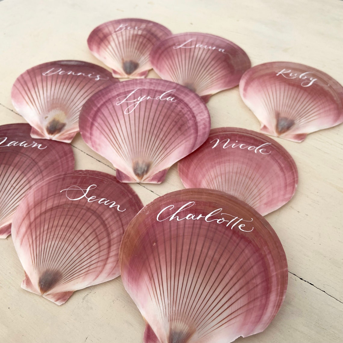 Shell Place Card Shell Place Name Beach Wedding Place Card - Etsy UK