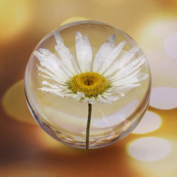 Flower Paperweight - Etsy