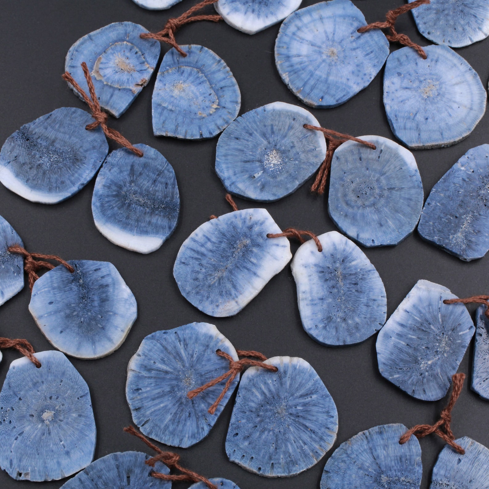 Drilled Freeform Natural Blue Sponge Coral Earring Pair | Etsy