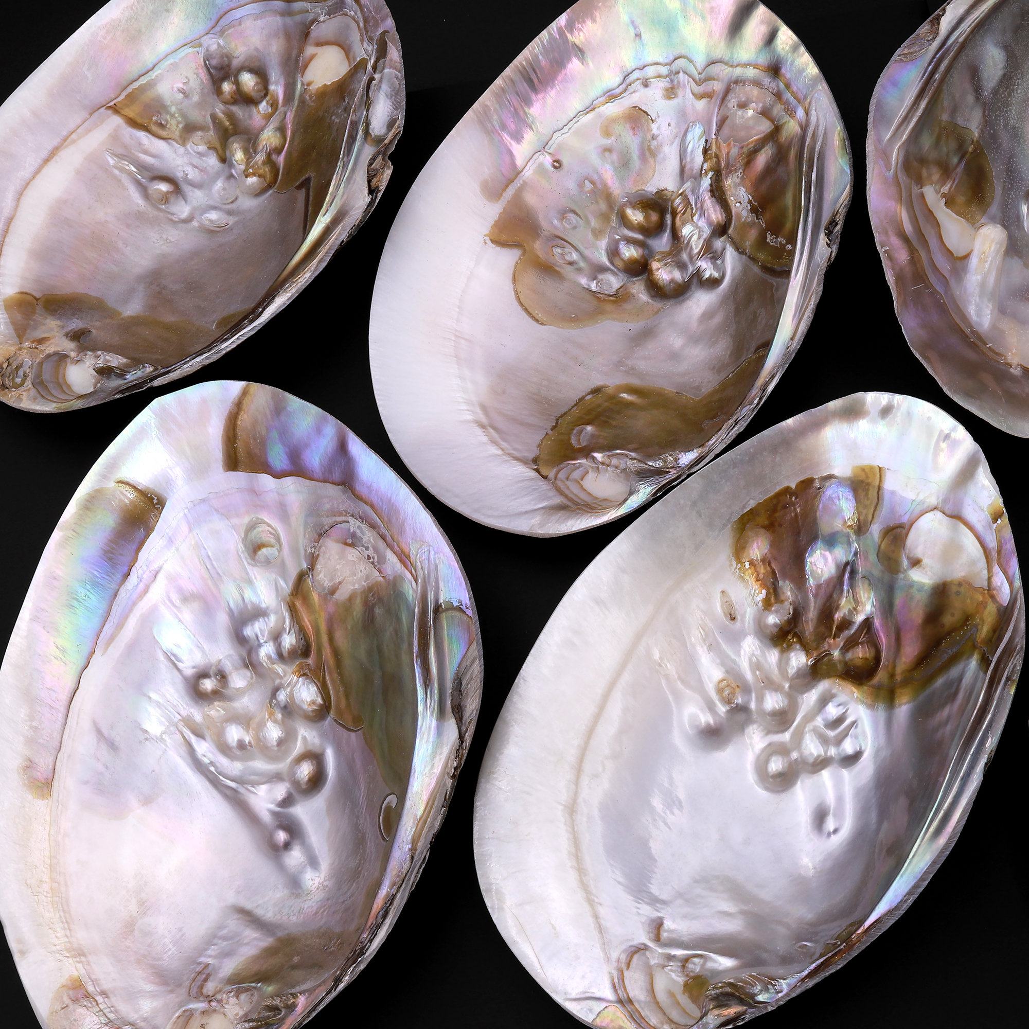 Large Natural Mother of Pearl Shell Dish W Real Iridescent Blister ...