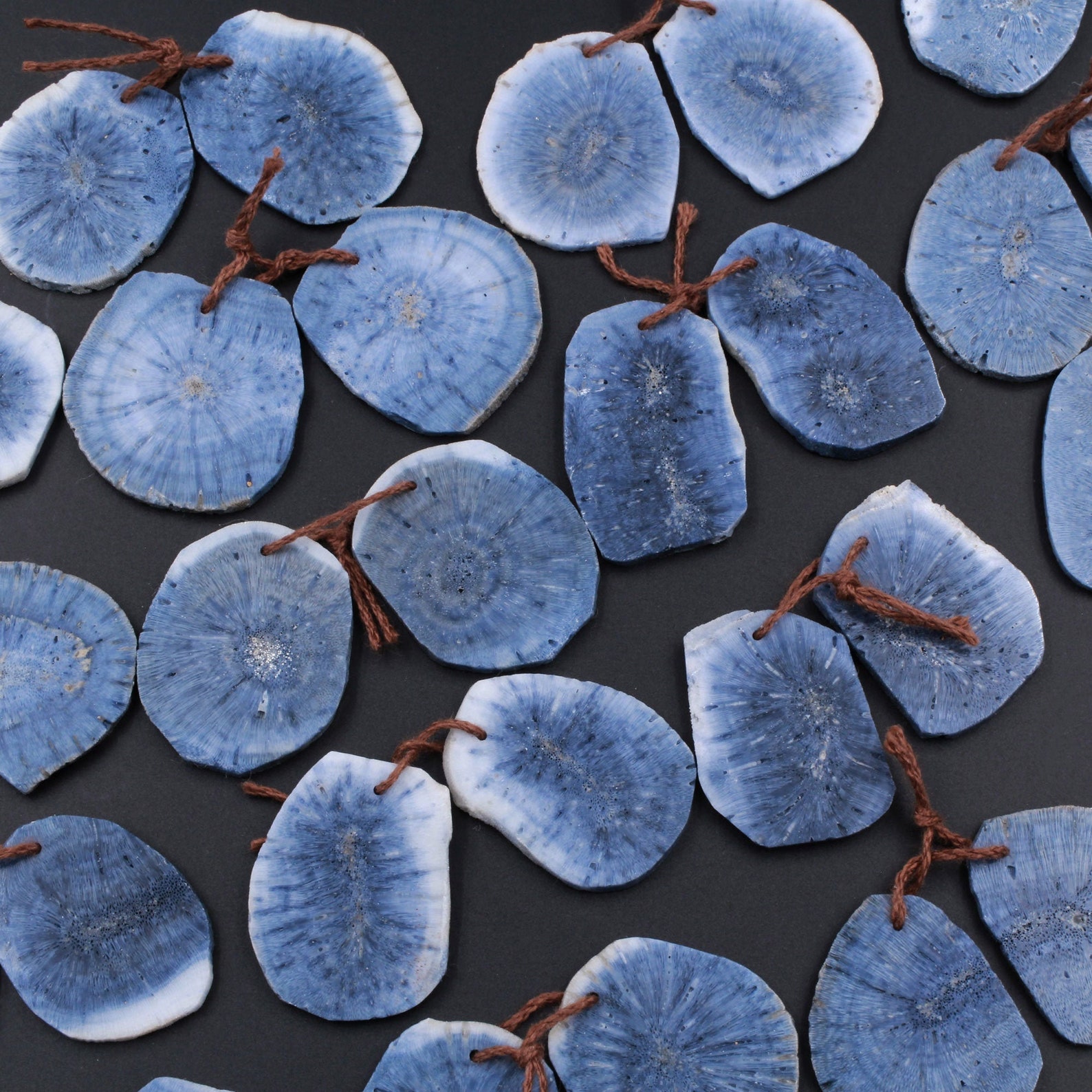 Drilled Freeform Natural Blue Sponge Coral Earring Pair | Etsy