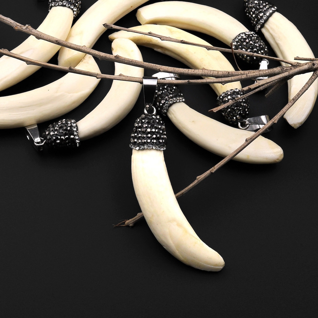 Wild and Exotic Real Wolf Tooth Pendant Sparkling Rhinestone - Etsy