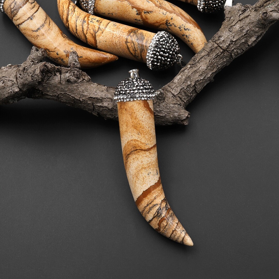 Natural Picture Jasper Tooth Claw Pendant Sparkling Rhinestone - Etsy