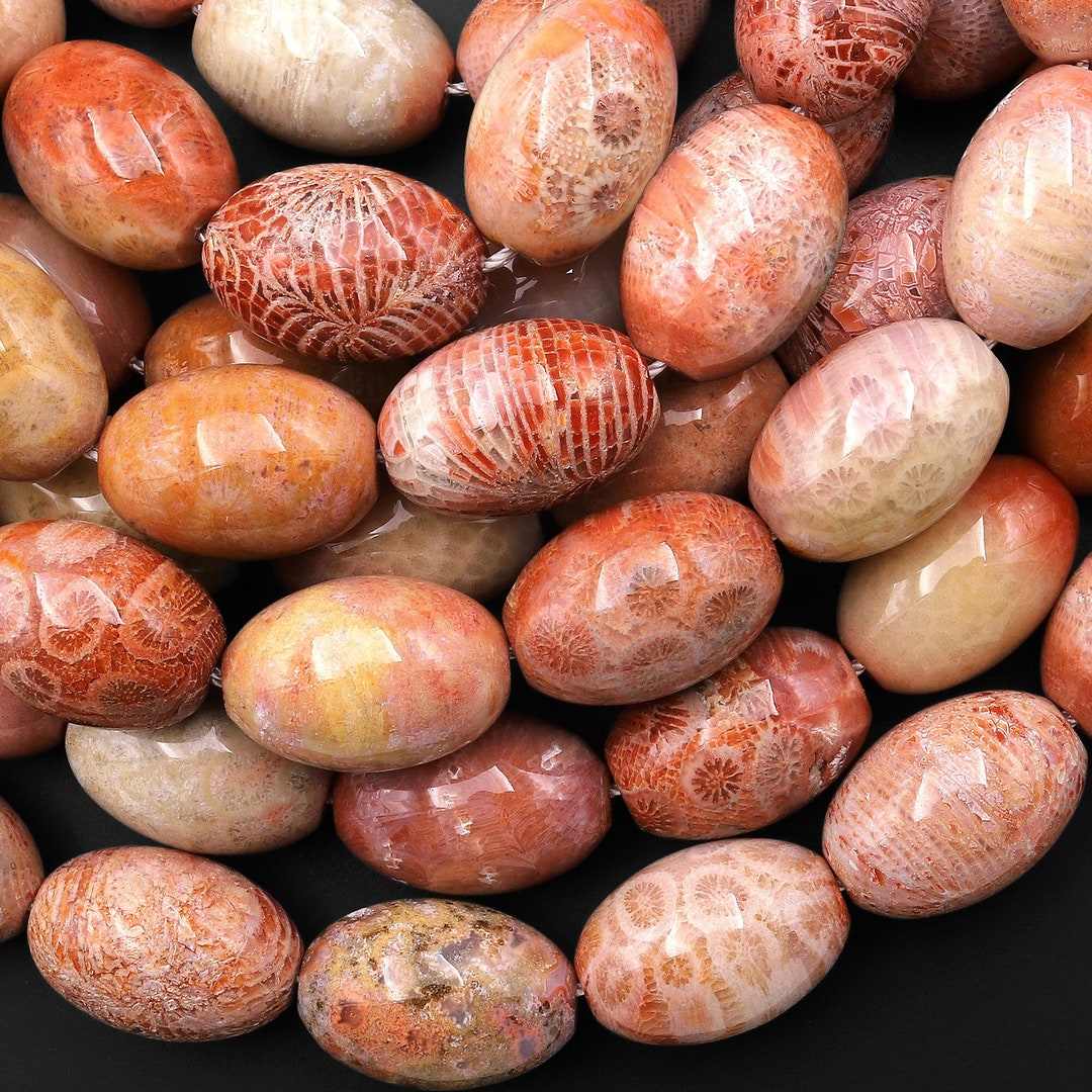 Rare Natural Salmon Pink Peach Fossil Coral Beads Barrel 20mm Gemstone ...