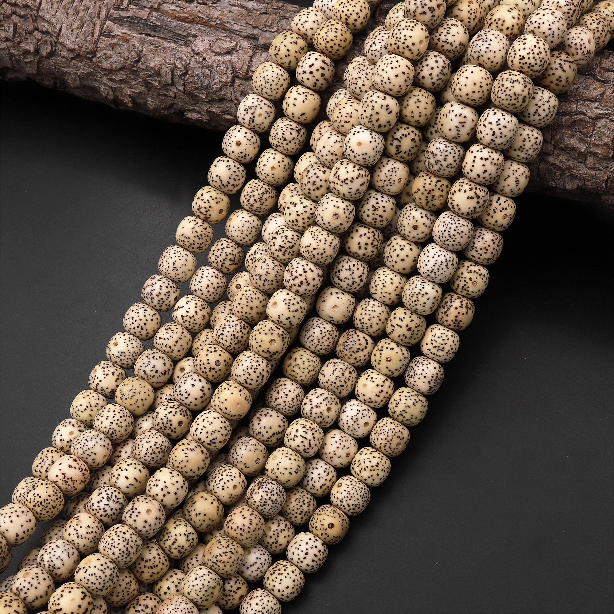 Natural Daemonorops Margaritae Rounded Barrel Beads 8mm 9mm - Etsy