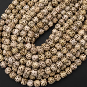 Natural Daemonorops Margaritae Rounded Barrel Beads 8mm 9mm "star and ...