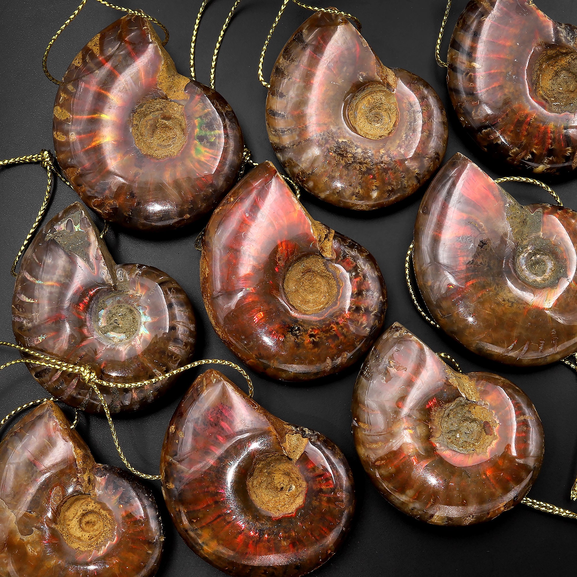 AAA Rare Natural Red Opalized Ammonite Fossil Pendant Top Side Drilled ...